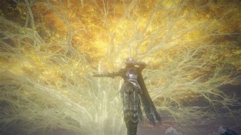 Пин от пользователя fern на доске the daybreak Пин от пользователя fern на доске the daybreak