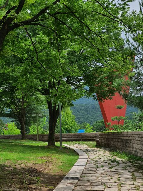 My Sql Workbench 에러해결 Could Not Acquire Management Access For Administration