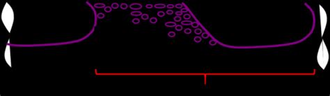 Sketch Of Slug Flow Pattern Download Scientific Diagram