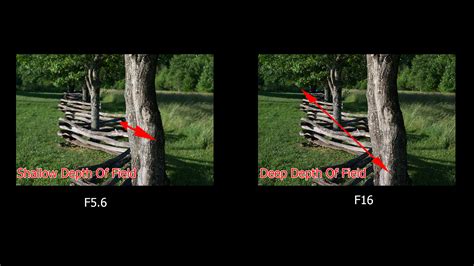 Depth Of Field Comparison