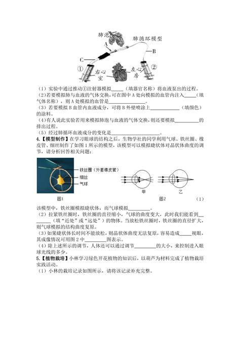2023年安徽省中考生物总复习二轮专题：跨学科实践（有答案） 21世纪教育网
