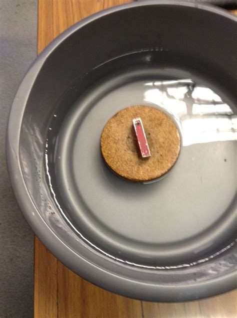 Wigton Physics Making A Compass