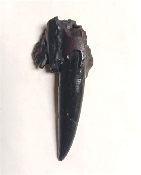 Xiphactinus Tooth Replica 3056 Canadian Fossil Discovery Centre