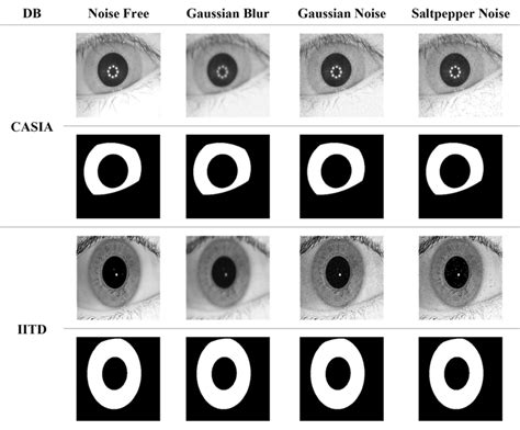 iris segmentation results the datasets in rows 1 2 are casia and the