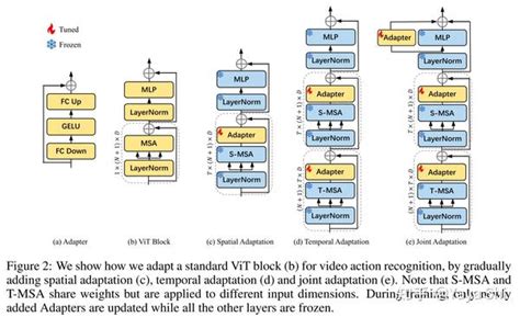 [论文阅读] Aim Adapting Image Models For Efficient Video Action Recognition 知乎