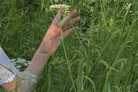 خب ایندفعه زبان انگیلیسی تستچی