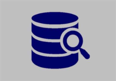 Business Intelligence Process Management Master Program Data