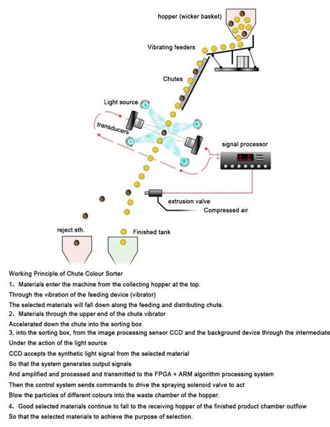 Soybean Color Sorting Machine Green Bean Black Bean Seed Sorting Equipment Buy Soya Bean Color