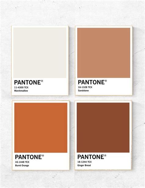 Pin By Elfje Mos On Hex Kleuren Codes Pantone Colour Palettes Pantone Wall Colors