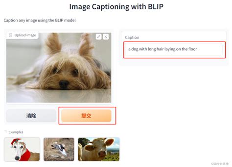 使用 Gradio 构建生成式 Ai 应用程序一 图片内容读取appgradio读取本地图片 Csdn博客