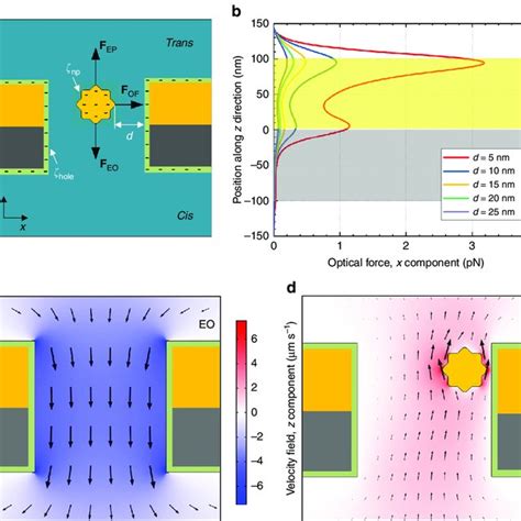 Electro Plasmonic Trapping Effect A Schematic Illustration Of The Download Scientific Diagram
