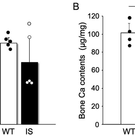 Serum Calcium Levels And Bone Calcium Content In Is Rats A The Serum