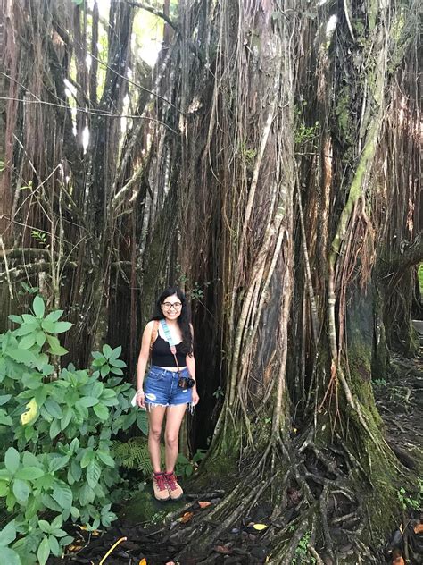 Img 2814 Andreas Stemper Flickr