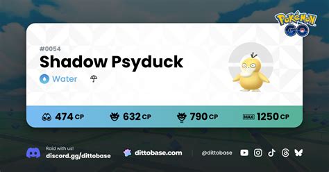 Shadow Psyduck Pokémon Go Dittobase