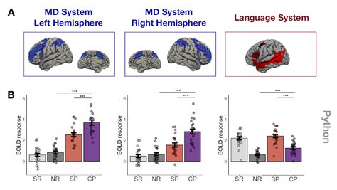 Brains And Coding — Good Research Code