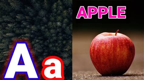 learning alphabet song 3d animination alphabet abc small and capital animination song for