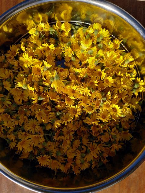 Welke Zeep Voor Welke Huid