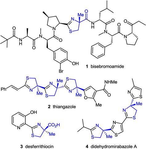 Figure 1 From A Facile Inexpensive Scalable Route To Methyl Cysteine Semantic Scholar