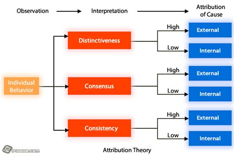 Attribution Theory Examples Why Do People Drive Like That