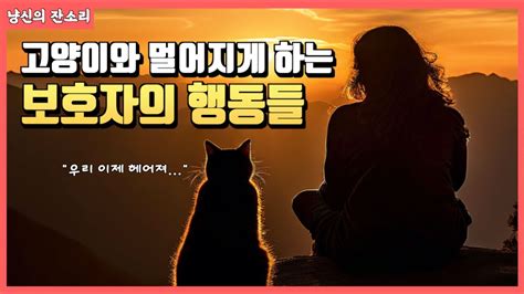 고양이와 멀어지게 하는 보호자의 행동들 Youtube
