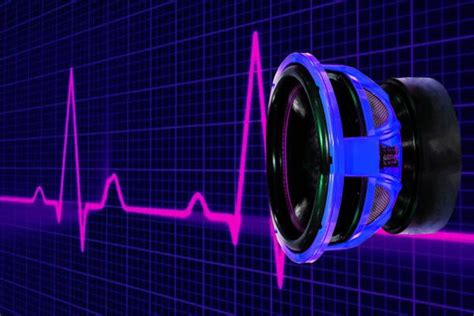 Cryogenic Quantum Computing Opening The Power Of Freezing Superposition Xpert Bite