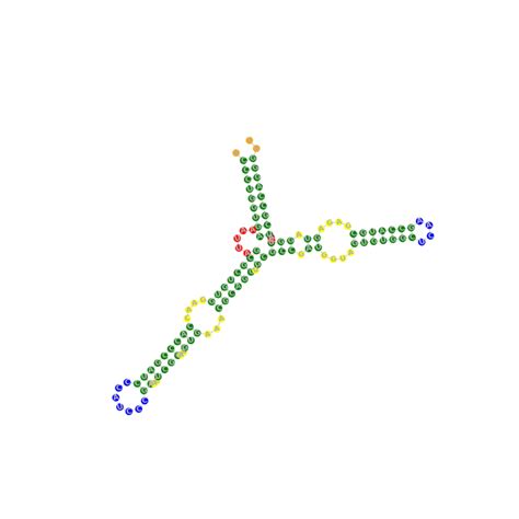 Rnascope Benchmarking Rna Language Models For Rna Sequence Understanding