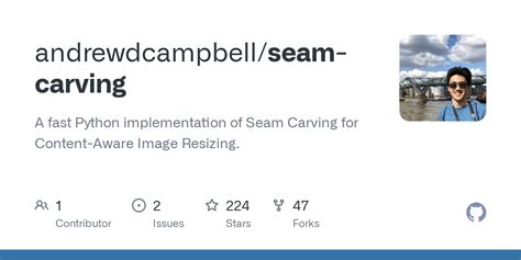 Github Andrewdcampbell Seam Carving A Fast Python Implementation Of Seam Carving For Content