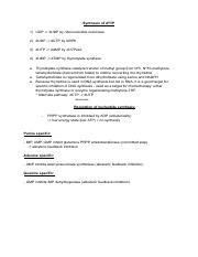 BIOC NOTES Pdf Synthesis Of DTTP UDP DUDP By Ribonucleotide Reductase DUDP DUTP