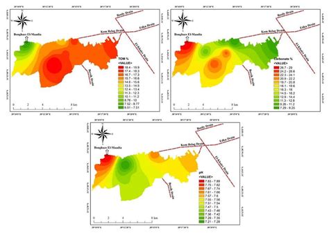 Spatial Distribution Of Total Organic Matter Tom Carbonate And Download Scientific