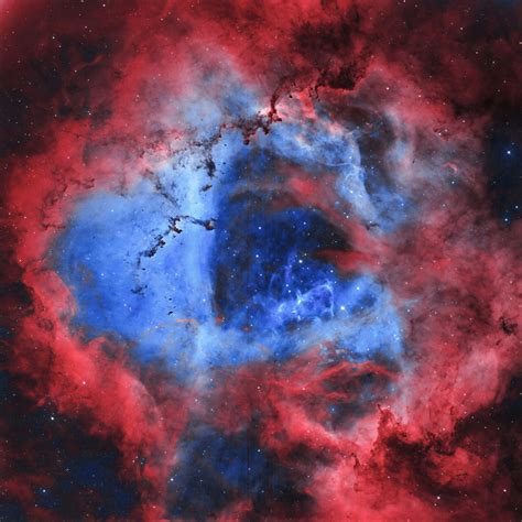 Rosette Nebula Telescope Live
