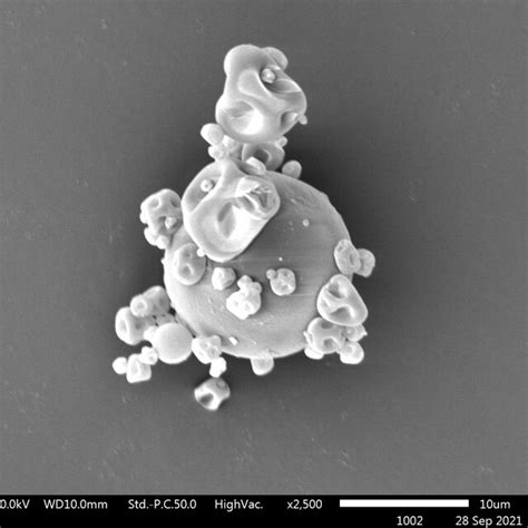 Sem Micrograph Of The Microcapsules Containing Bacillus Subtilis Download Scientific Diagram