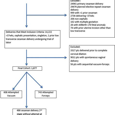 Flow Diagram For Patient Selection Download Scientific Diagram