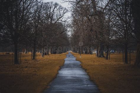 perspective view of a park pathway with nobody around and irregular
