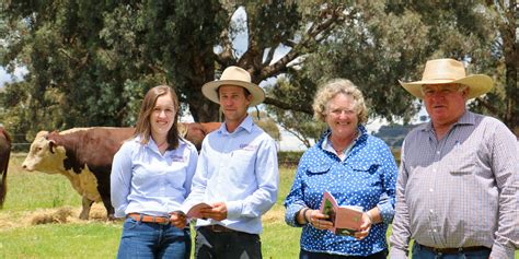 Digging Up Past Influential Sires For Herd Improvement Herefords
