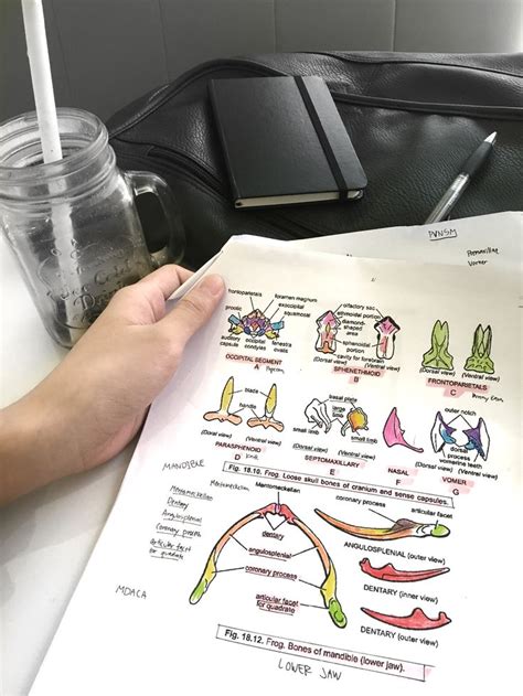 Pin On Carter Devereux