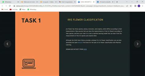 Danush Narayana On Linkedin Oasisinfobyte Datascience Internship Python