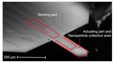 Sensors Free Full Text In Plane And Out Of Plane Mems Piezoresistive Cantilever Sensors For