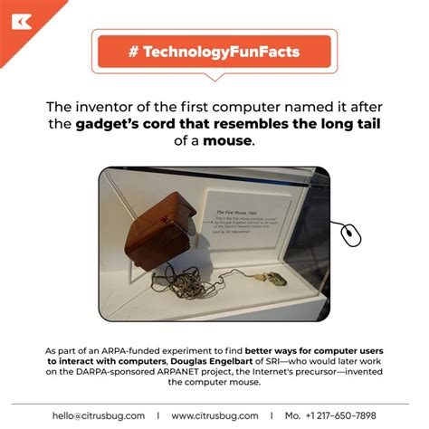 Citrusbug Technolabs On Linkedin Tech It Funfact Web Ai