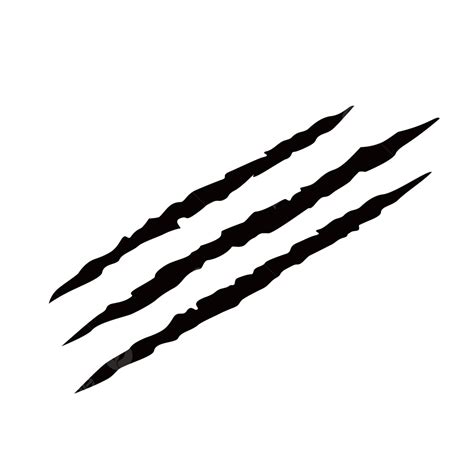 Animal Scratch Claws Vector Claw Scratch Animal Png And Vector With