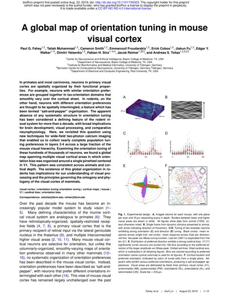 Pdf A Global Map Of Orientation Tuning In Mouse Visual Cortex