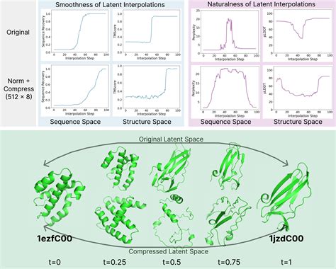 Tokenized And Continuous Embedding Compressions Of Protein Sequence And Structure Patterns