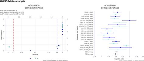 p m plot left and forest plot right for snp rs30281400 circled in