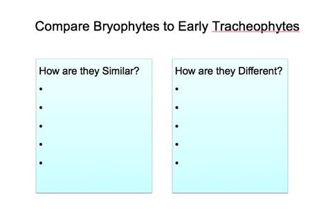 Solved Compare Bryophytes To Early Tracheophytes How Are