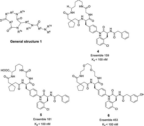 The General Structure And Examples Of The Macrocycles Patented By