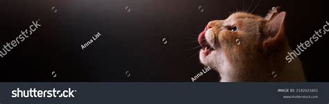 Linkedin Banner Chemist Images Stock Photos D Objects Vectors Shutterstock