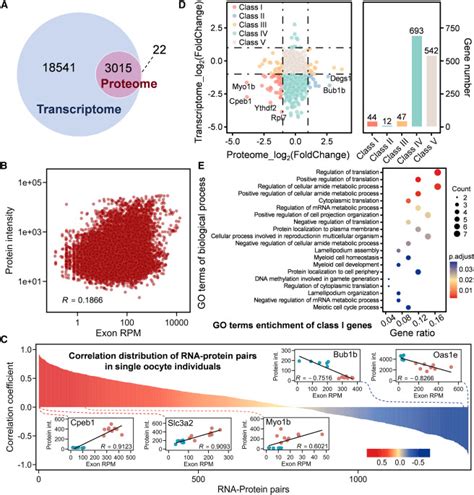 Simultaneous Deep Transcriptome And Proteome Profiling In A Single