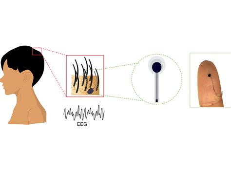 The Future Of Brain Activity Monitoring May Look Like A Strand Of Hair