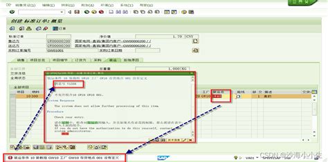 【sap消息号v1358】sap 工厂不在t001 Csdn博客