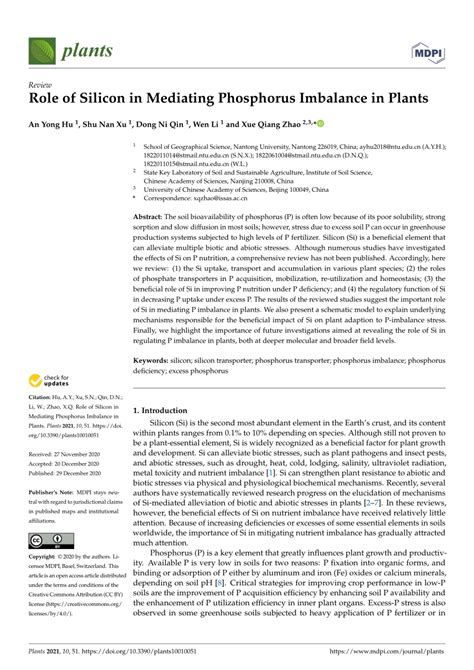 Pdf Role Of Silicon In Mediating Phosphorus Imbalance In Plants