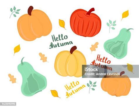 다양한 색깔의 호박 세트 추수 감사절과 할로윈 디자인 요소 조롱박에 대한 스톡 벡터 아트 및 기타 이미지 조롱박 컴퓨터 그래픽 10월 Istock